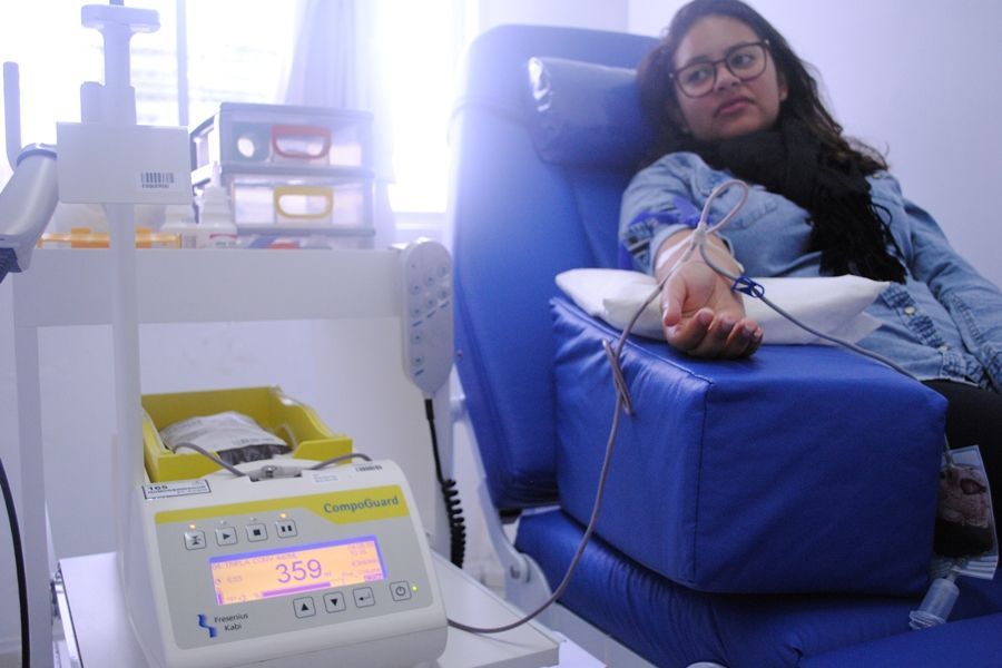 Do doador ao receptor: como funciona o ciclo do sangue